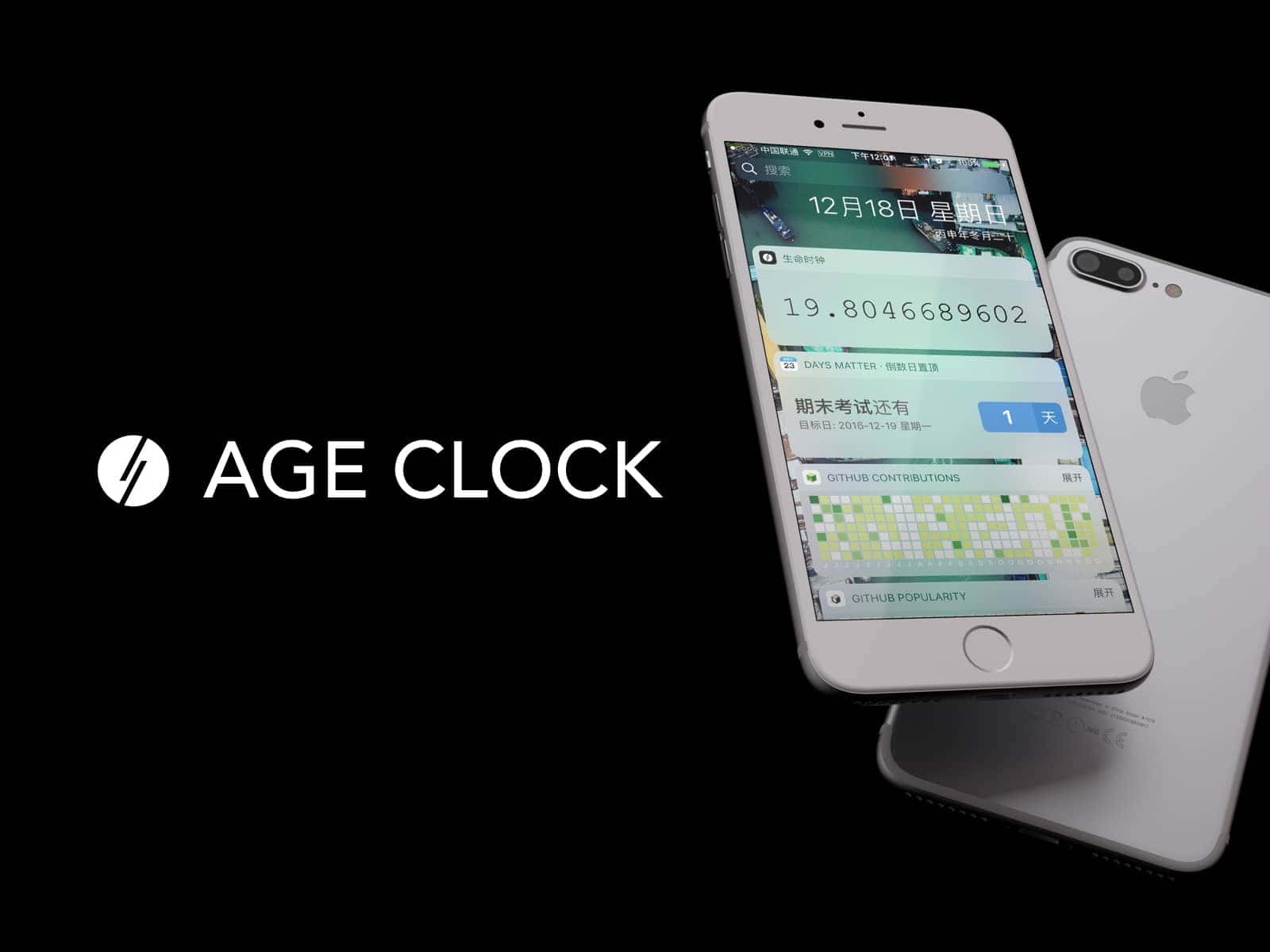 Age Clock - Track your life at the precision of 10 digits - JustZht's ...